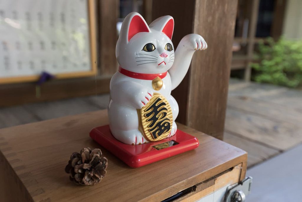 Manekineko - O Gato da Sorte Japonês - Kuri Kuri - Loja Japonesa